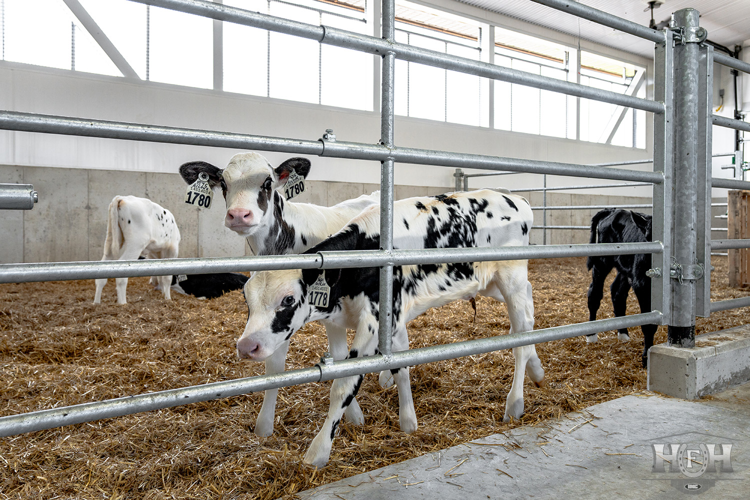 Barrie - Jun 2024 - Dairy Facility | HFH