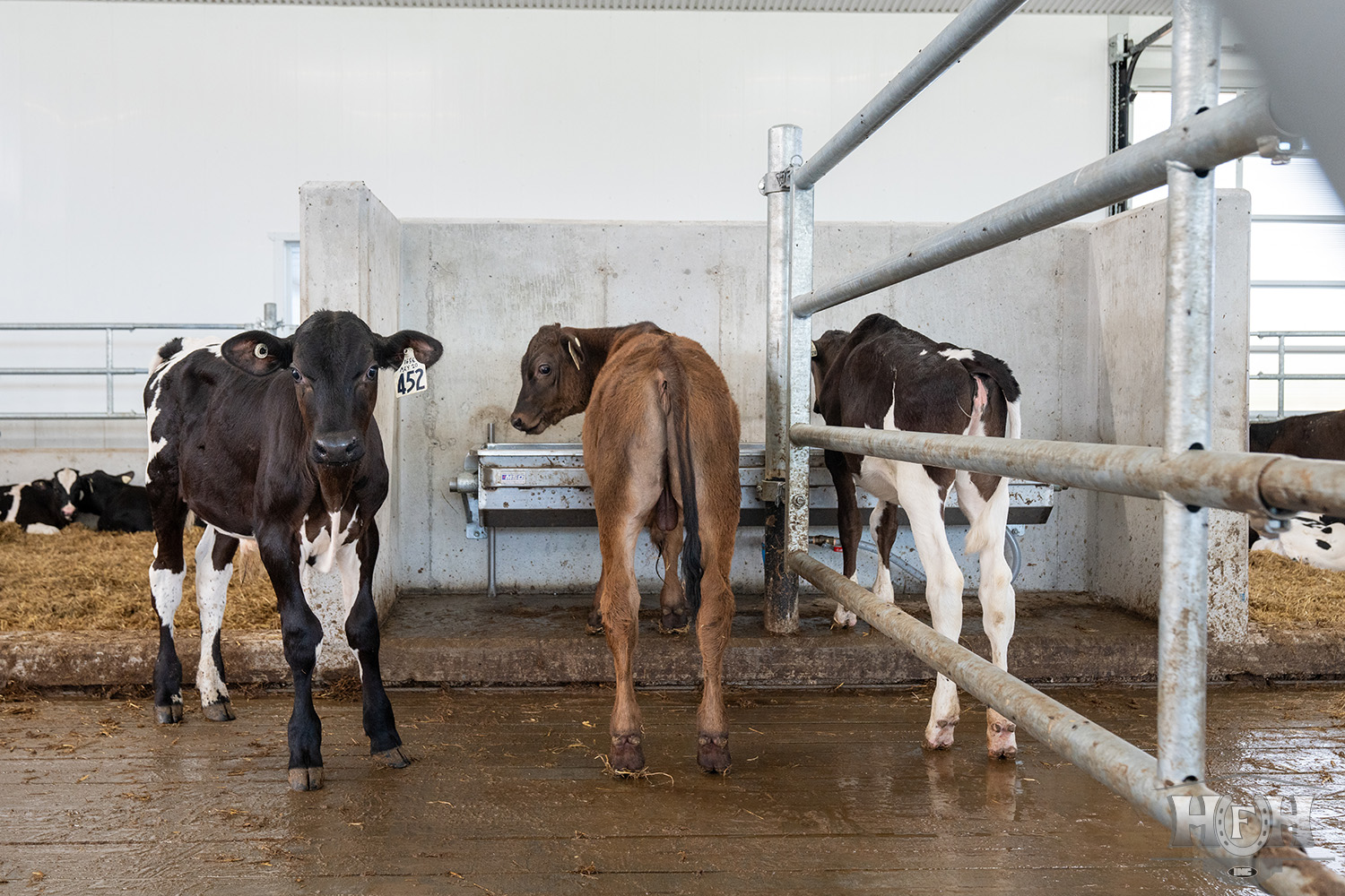 Barrie - Jun 2024 - Dairy Facility | HFH