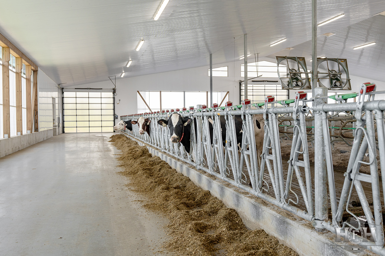 Barrie - Jun 2024 - Dairy Facility | HFH