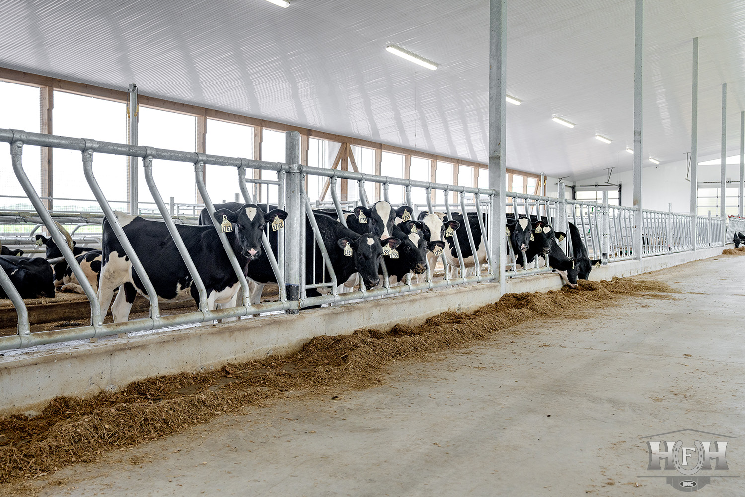 Barrie - Jun 2024 - Dairy Facility | HFH