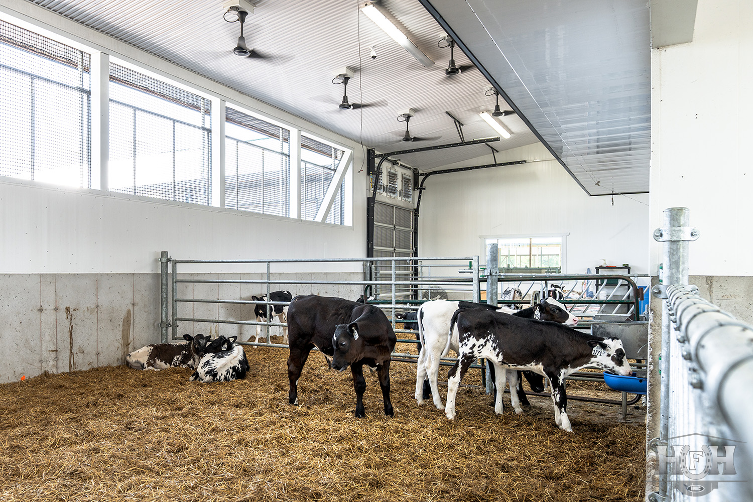 Barrie - Jun 2024 - Dairy Facility | HFH