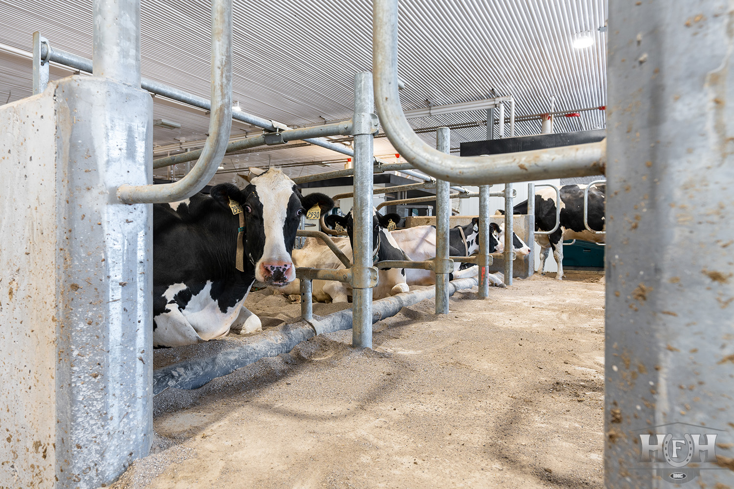 Thedford - Aug 2022 - Cross Vent Robot Barn | HFH