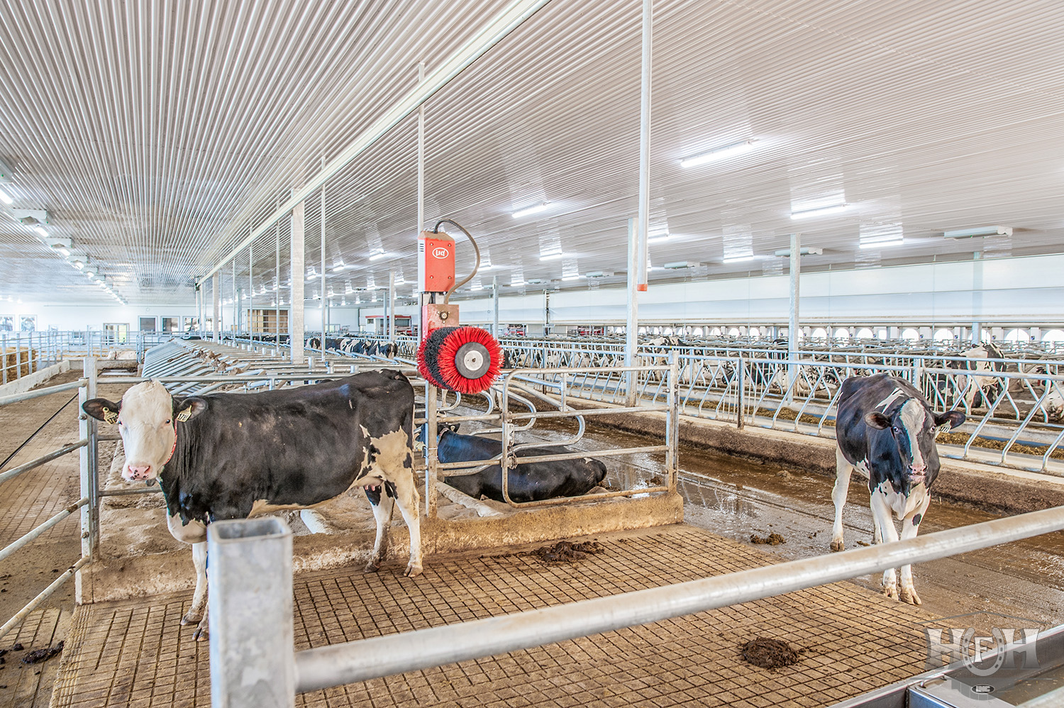 Mitchell - Oct 2019 - Cross Vent Robot Barn | HFH