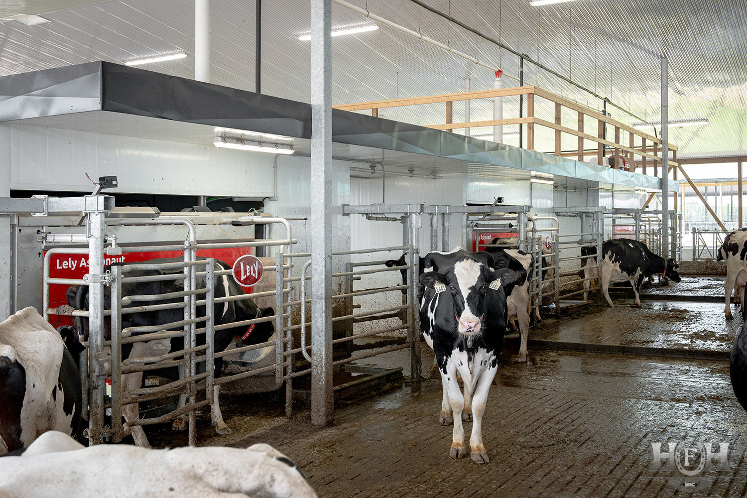Barrie - Jun 2024 - Dairy Facility | HFH